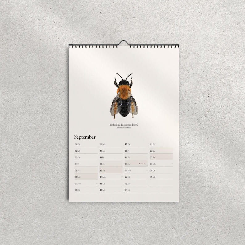 Bee Wall Calendar 2026, Bee Calendar, A3 Calendar, Gift for Nature ...