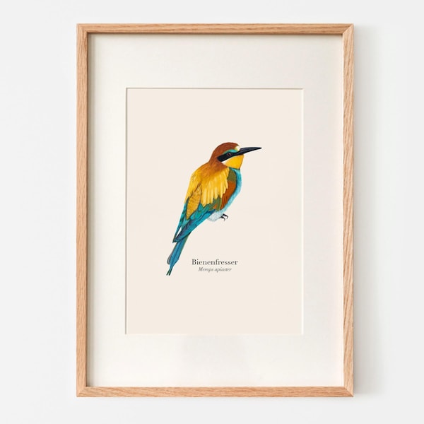 Bee Eater - Etsy