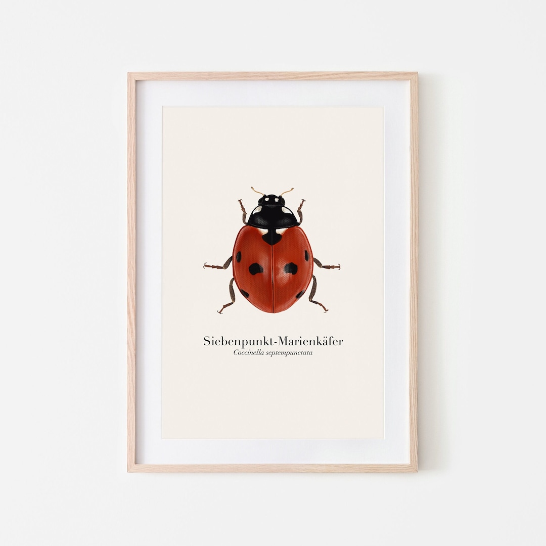 Ladybug Picture, Ladybug Poster A4, Optionally Framed or With a Poster ...