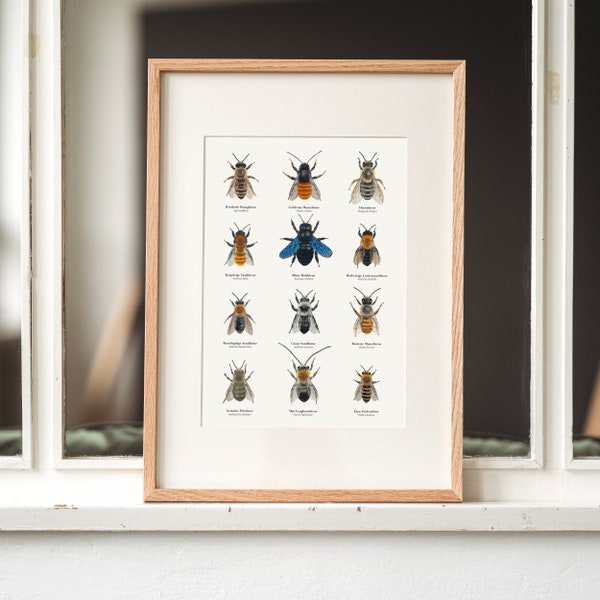 Bee Poster - Etsy