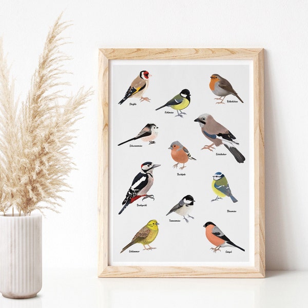 Native Birds - Etsy