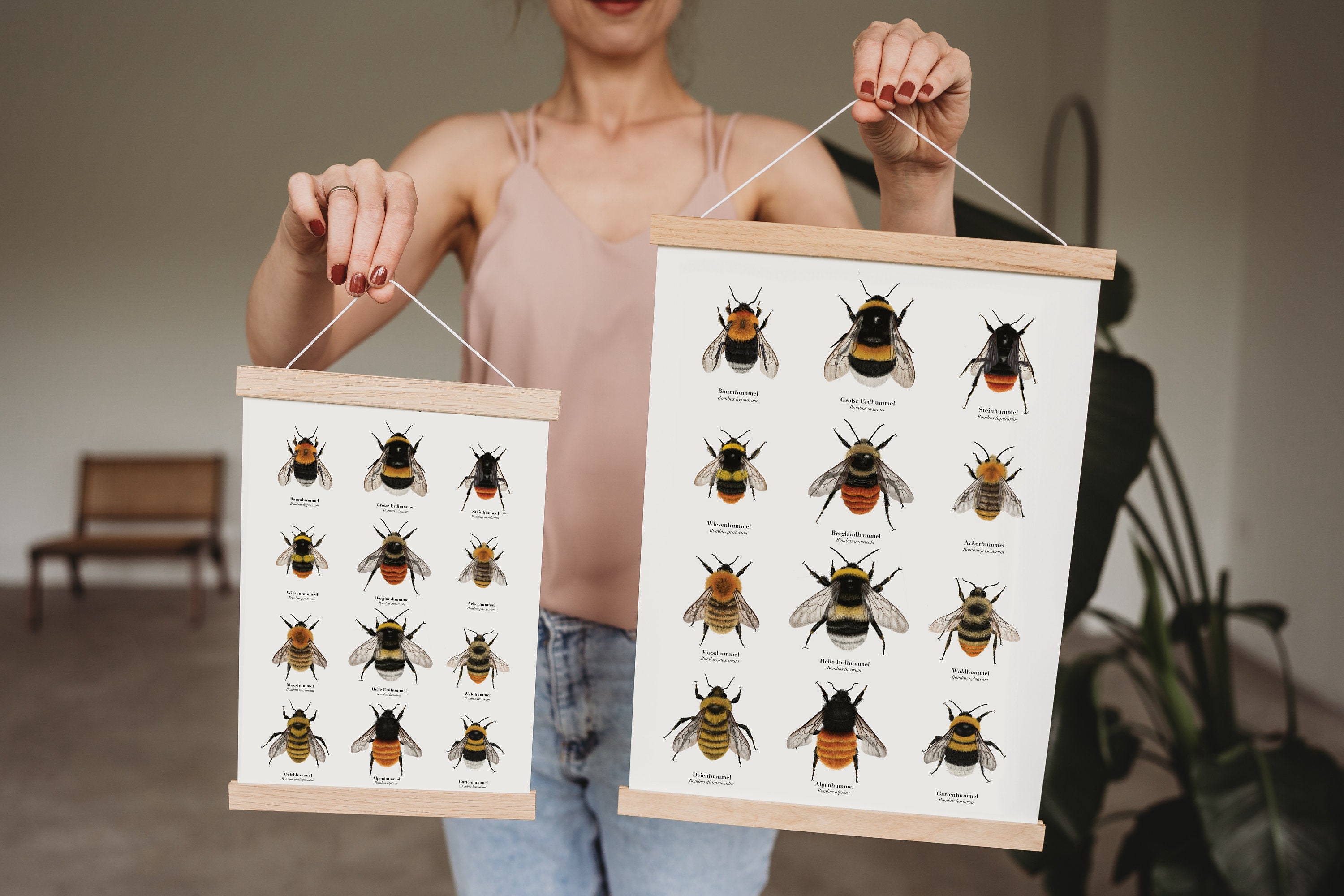Bumblebee Poster | Nature Art Print | Drawings of Twelve Native ...