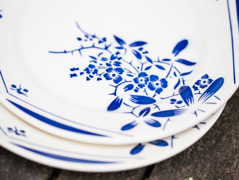 Antique French Blue Plates Set of 2 Badonviller Ironstone Stencilware ...
