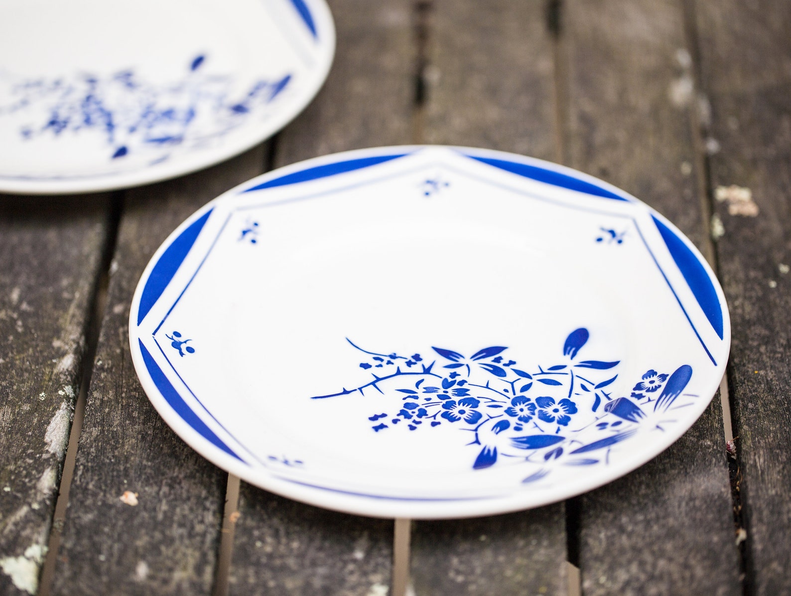 Antique French Blue Plates Set of 2 Badonviller Ironstone Stencilware ...