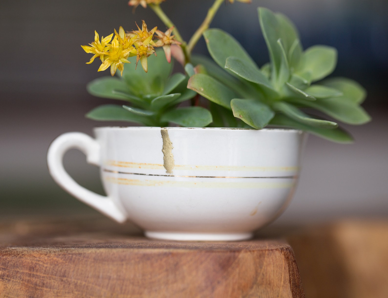 Kintsugi Vintage French Tea Coffee Cup Sarreguemines Gold 1920s ...