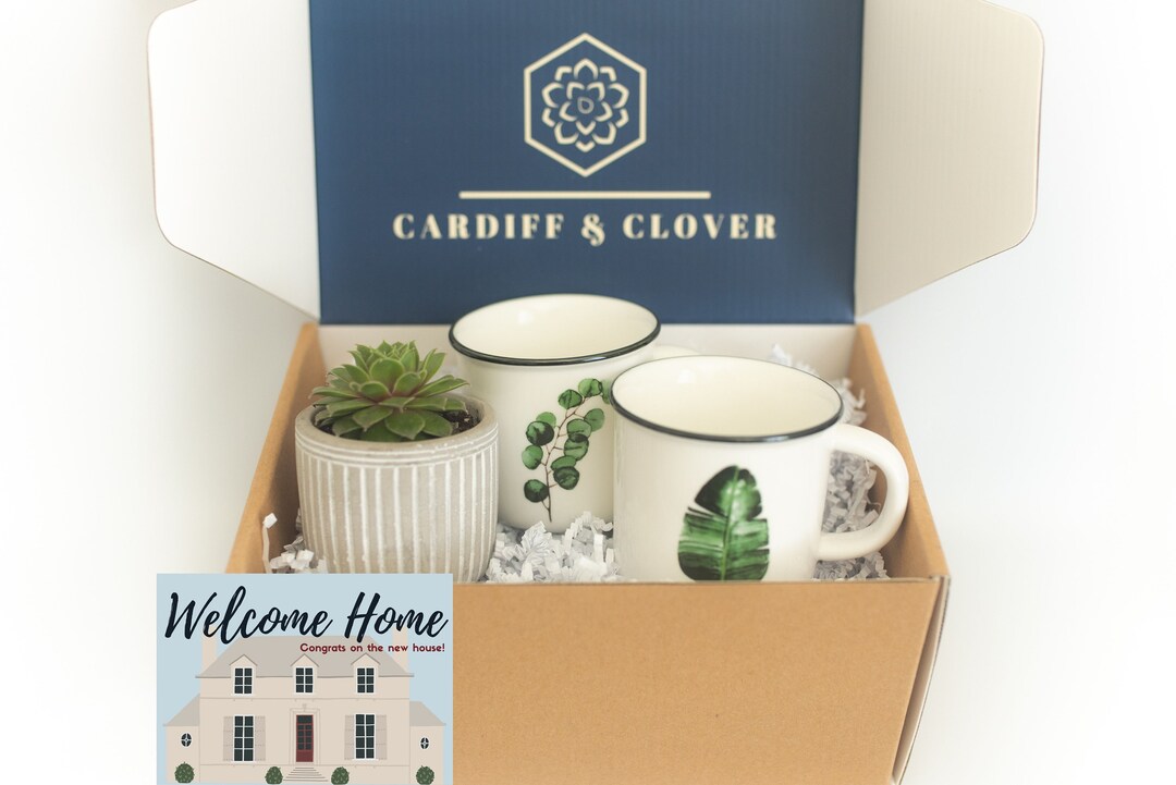 Welcome Home Succulent Gift Box With Set of 2 Mugs. Housewarming Gift ...