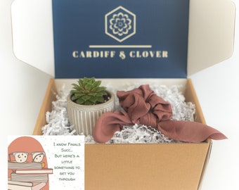 Study Gift Box - Etsy
