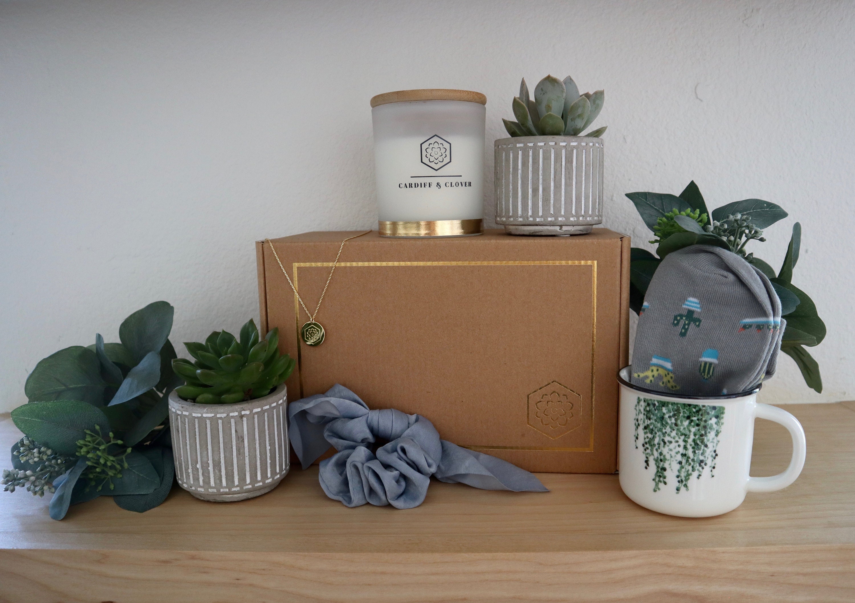 Welcome Home Succulent Gift Box with Set of 2 Mugs. | Etsy