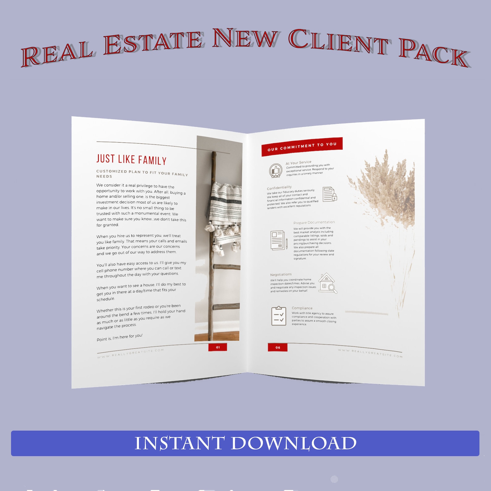Real Estate Agent New Client Guide Real Estate Template Real Estate ...