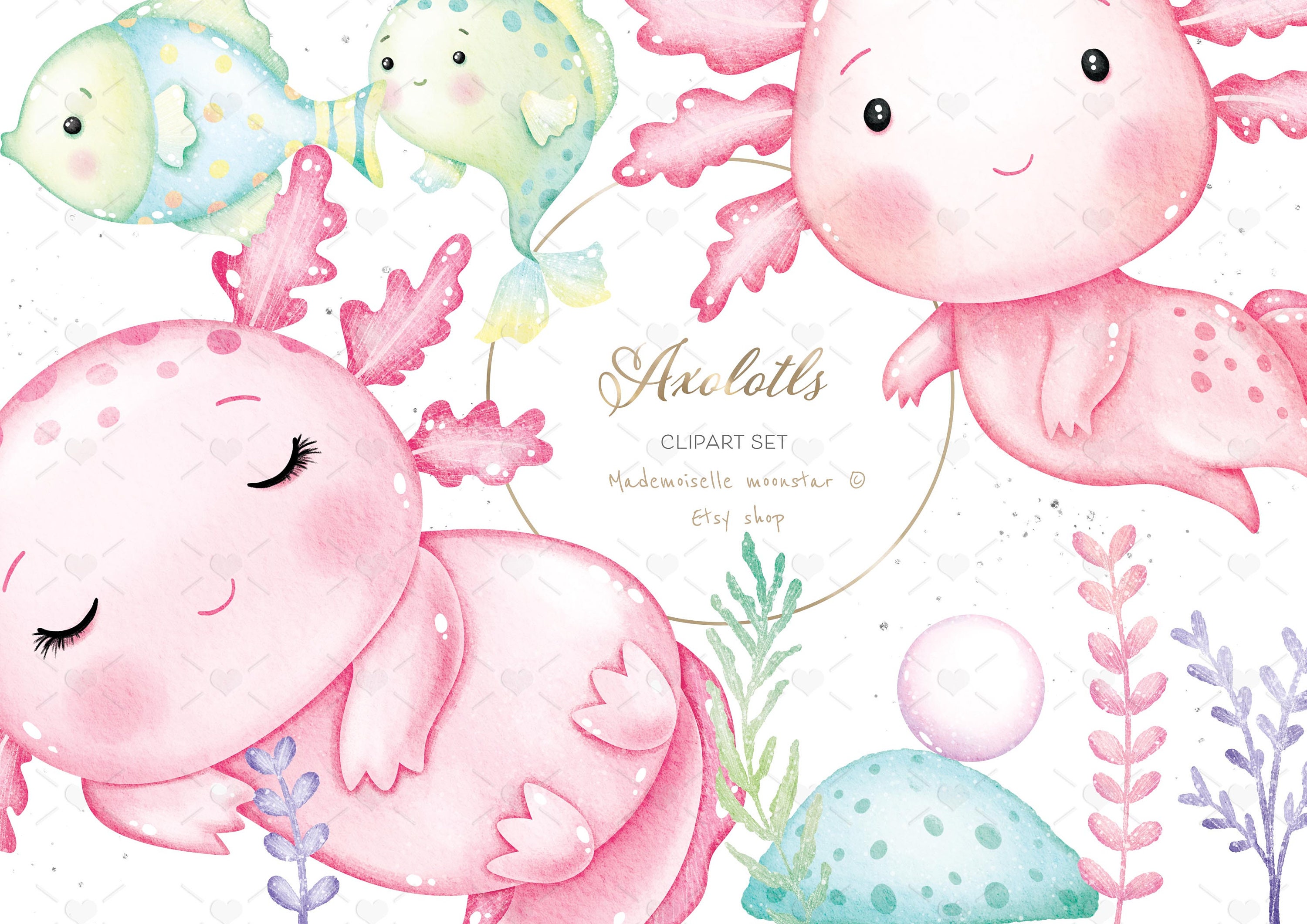 Cute Axolotl Clipart Set. Watercolor Cute Water Animal. Fishes. 300 DPI ...