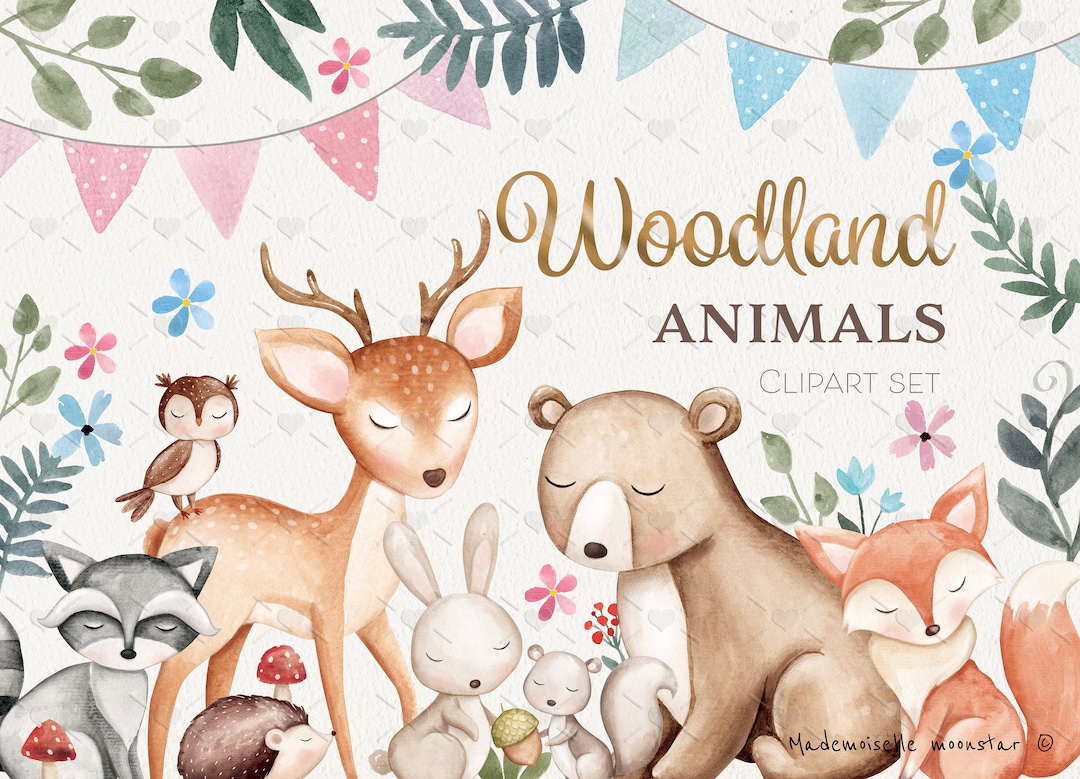 Cute Forest Animals Watercolor Clipart Set. Woodland Watercolor Animals ...