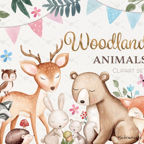 Cute Forest Animals Watercolor Clipart Set. Woodland - Etsy