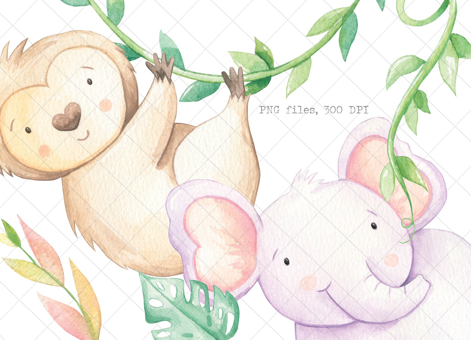 Safari Animals Jungle Animals Clipart Set 300 Dpi PNG Files - Etsy