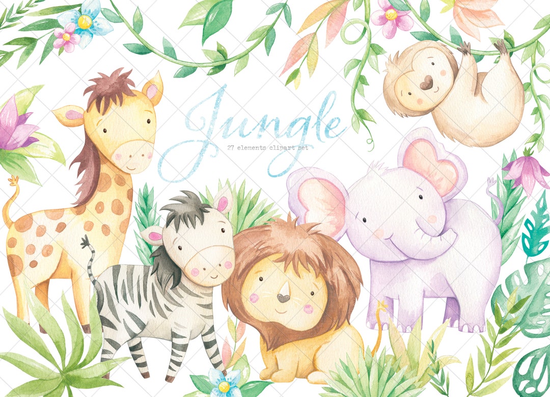 Safari Animals, Jungle Animals, Clipart Set 300 Dpi PNG Files ...