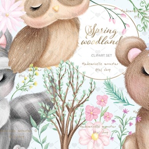 Woodland Spring Animals. Fox, Dear, Raccoon, Bunny, Owl, Bear ...