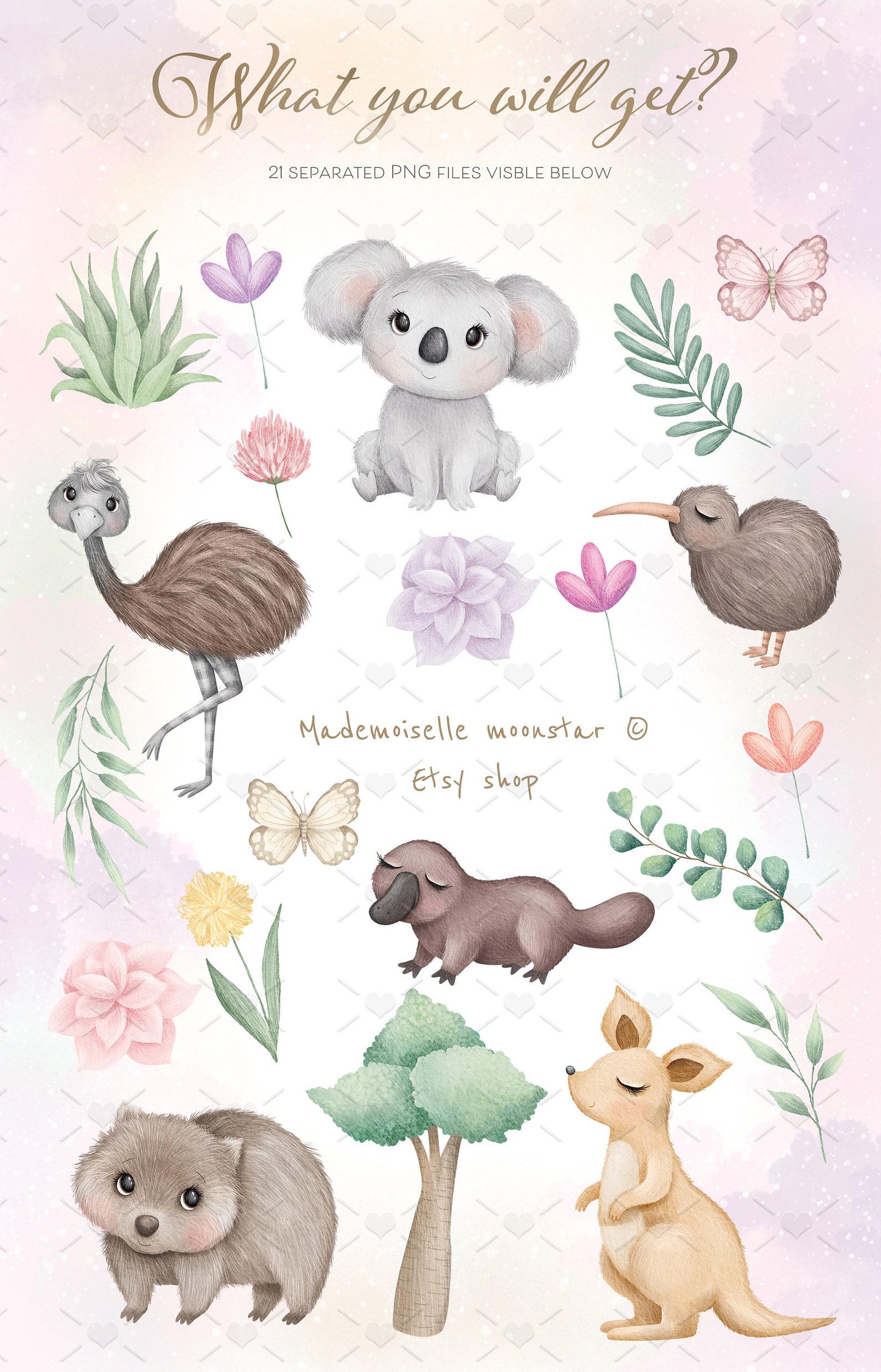 Australian Animals Clipart Set. Cute Koala Kangaroo Wombat - Etsy