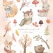 Autumn Forest Animals Clipart Set. Woodland Animals in Autumn Forest ...