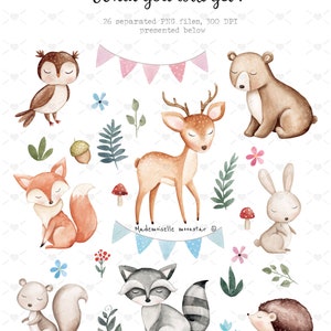 Cute Forest Animals Watercolor Clipart Set. Woodland Watercolor Animals ...
