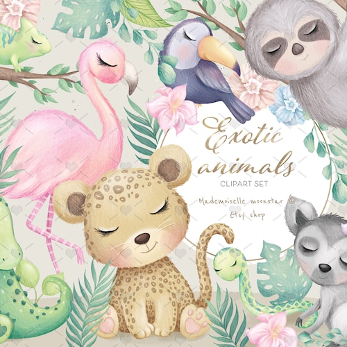 Exotic Jungle Animals Cute Clipart. African Safari Animals - Etsy