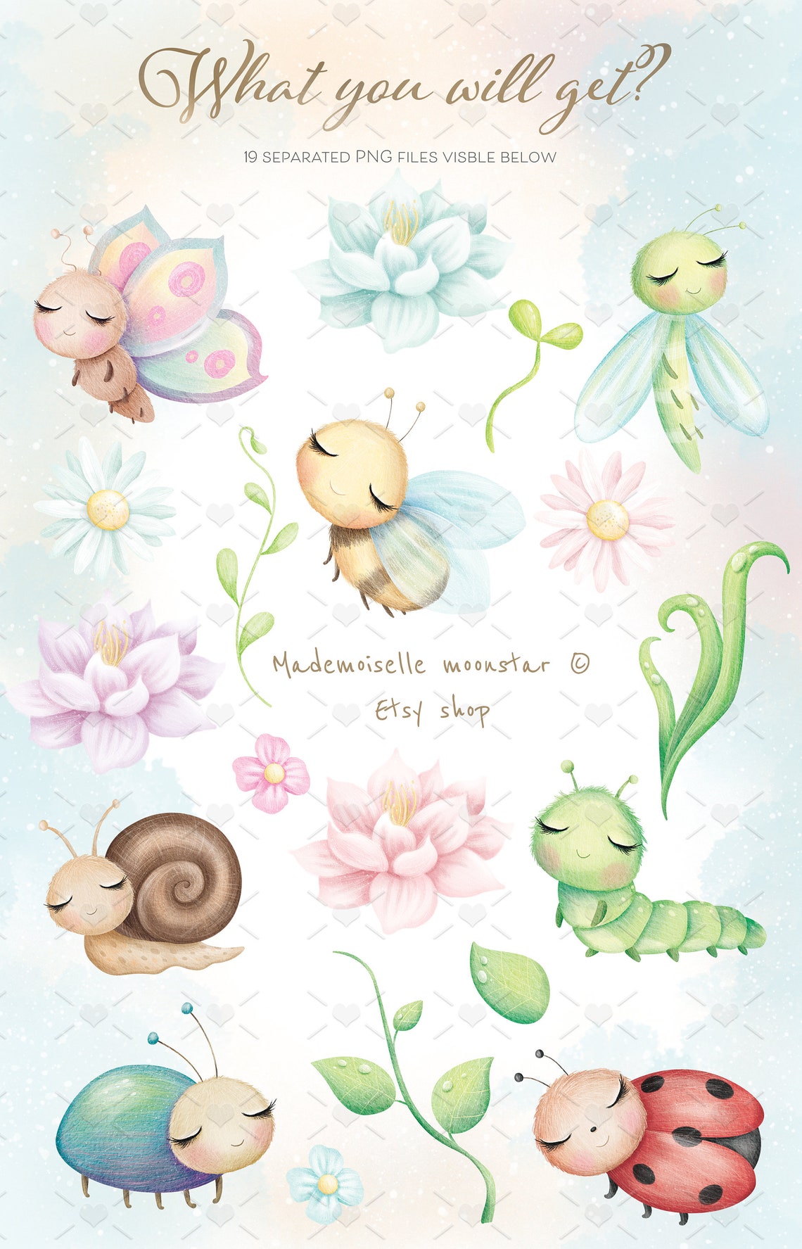 Cute Bugs Clipart Set. Bee, Ladybug, Caterpillar, Snail, Butterfly ...