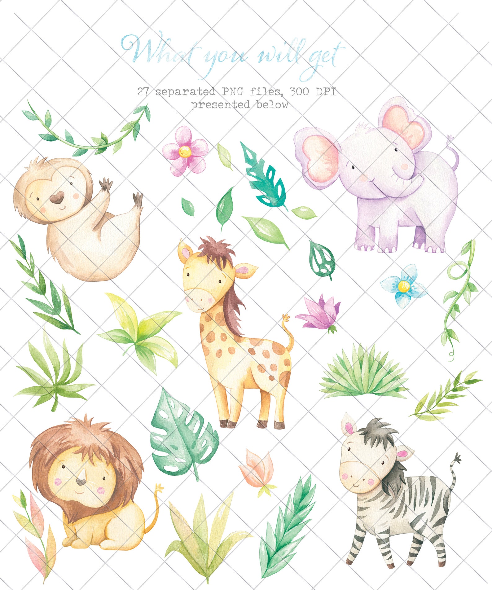 Safari Animals Jungle Animals Clipart Set 300 Dpi PNG Files - Etsy