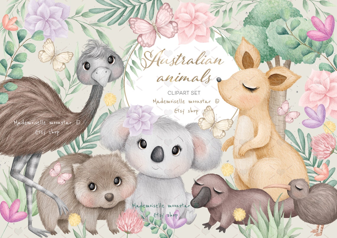 Australian Animals Clipart Set. Cute Koala Kangaroo Wombat | Etsy
