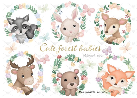Baby Forest Animals Clipart