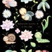 Cute Bugs Clipart Set. Bee, Ladybug, Caterpillar, Snail, Butterfly ...