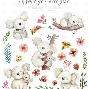 Koala Bear Watercolor Clipart Set. Cute Baby Koala, Nursery Decor ...