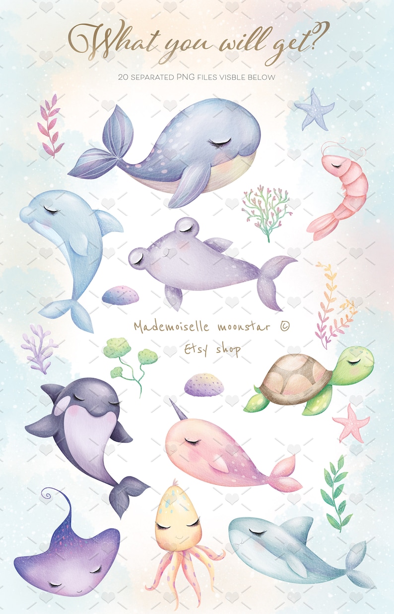 Under the sea Clipart Set. Cute sea animals whale dolphin | Etsy