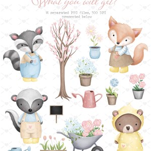 Woodland Spring Garden Clipart Set. Fox, Racoon, Bear, Skunk, Flowers ...
