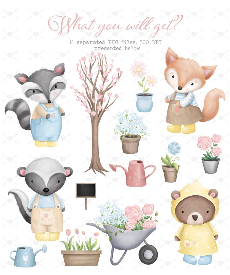 Woodland Spring Garden Clipart Set. Fox Racoon Bear Skunk - Etsy
