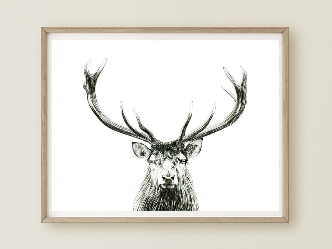 Red Deer, Rustic Cabin Print, Stag Print, Stag, Buck Head Drawing, Deer ...