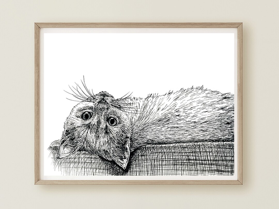 Kitten Art, Printable Wall Art, Cat Drawing Print, Cat Ink, Cat Digital ...