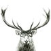 Red Deer, Rustic Cabin Print, Stag Print, Stag, Buck Head Drawing, Deer ...
