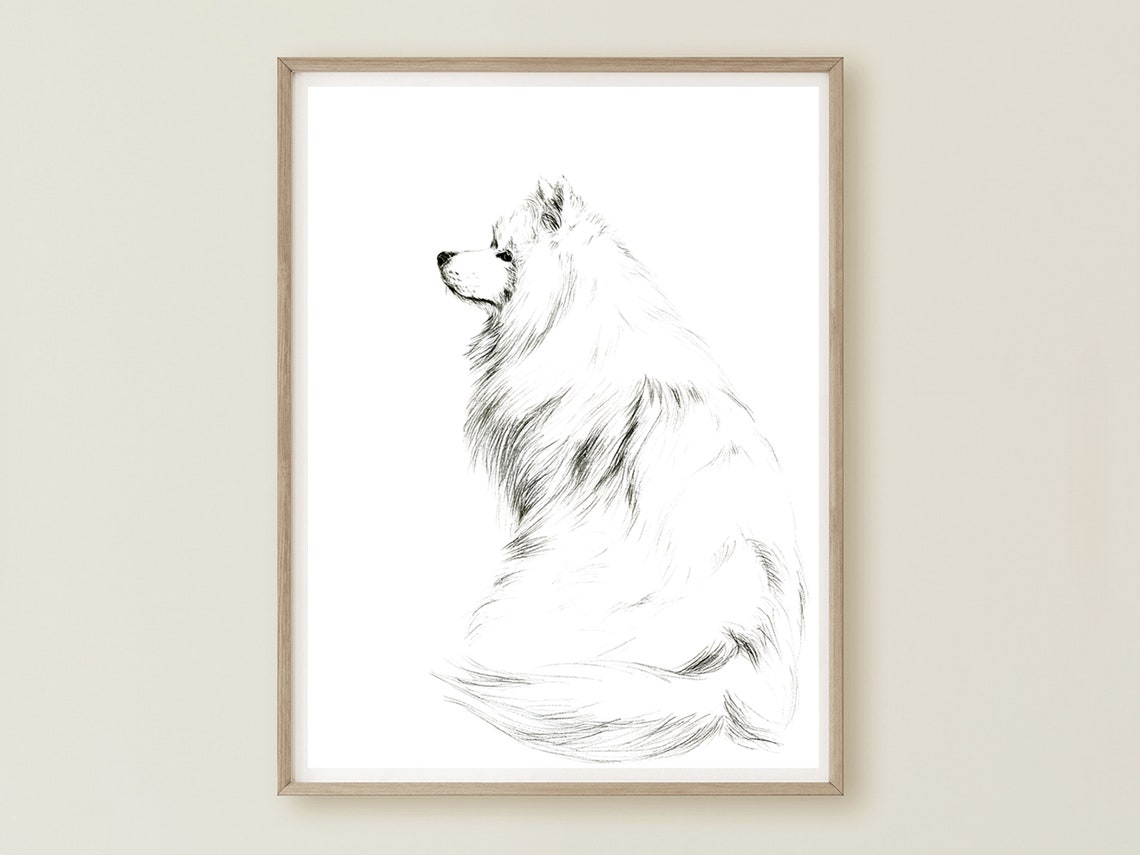 Samoyed Dog Portrait Samoyed Drawing Print Samoyed Wall - Etsy