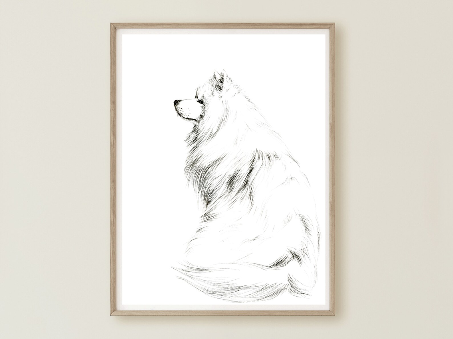 Samoyed Dog Portrait Samoyed Drawing Print Samoyed Wall - Etsy