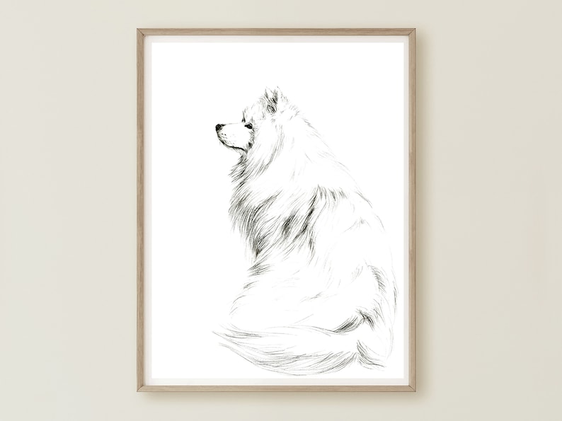 Samoyed Dog Portrait Samoyed Drawing Print Samoyed Wall | Etsy