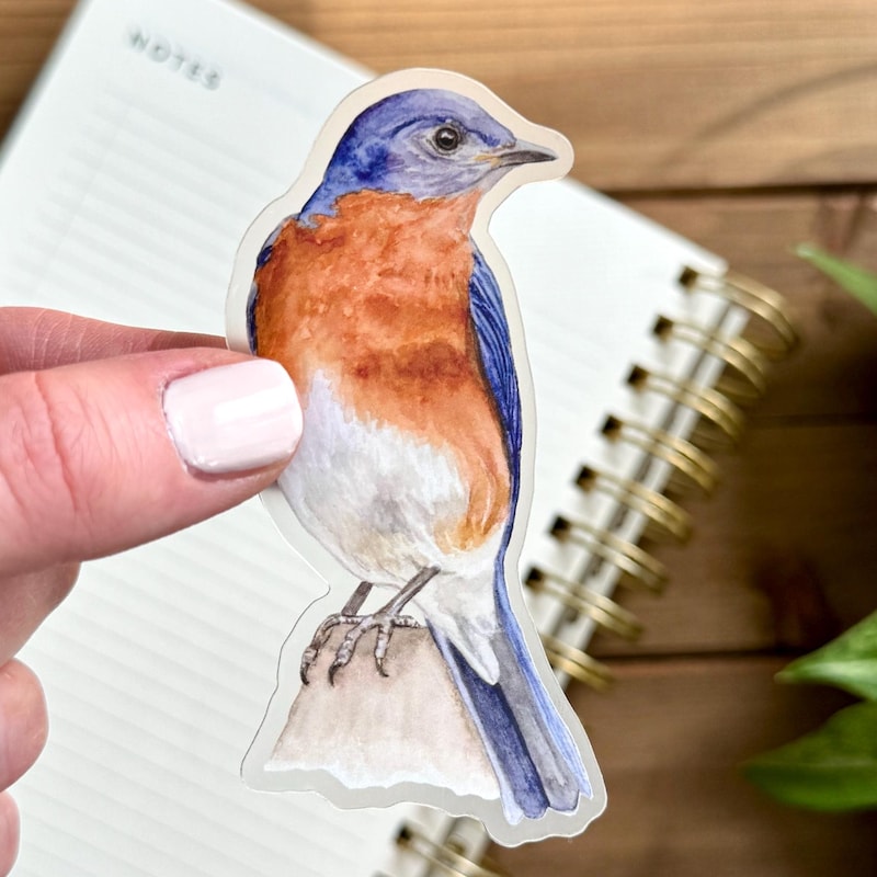 Clear Vinyl Sticker Bird - Etsy