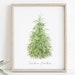 Conifer Trees Watercolor Print Watercolor Christmas Trees Holiday Decor ...