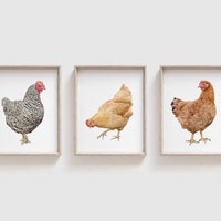 Set of 4 Chickens Watercolor Art Prints | Chicken Painting | Chicken ...