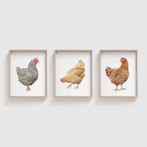 Chicken Wall Art - Etsy