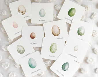 Realistic Montessori Bird Flashcards for Toddlers and - Etsy