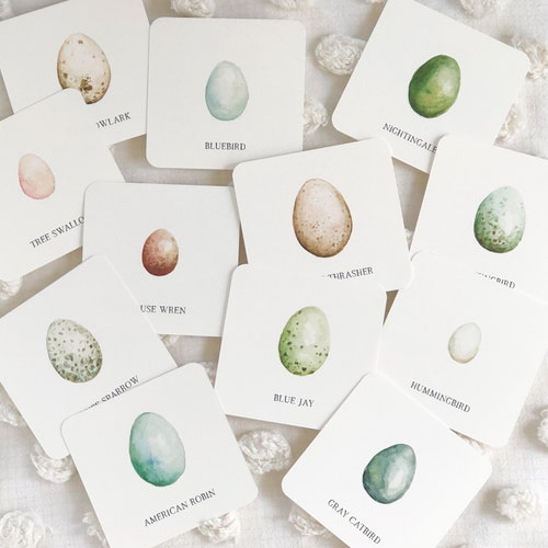 Bird Shadow Matching Flash Cards. Montessori Spring Printable. | Etsy