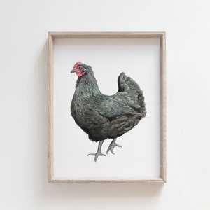 Set of 4 Chickens Watercolor Art Prints | Chicken Painting | Chicken ...
