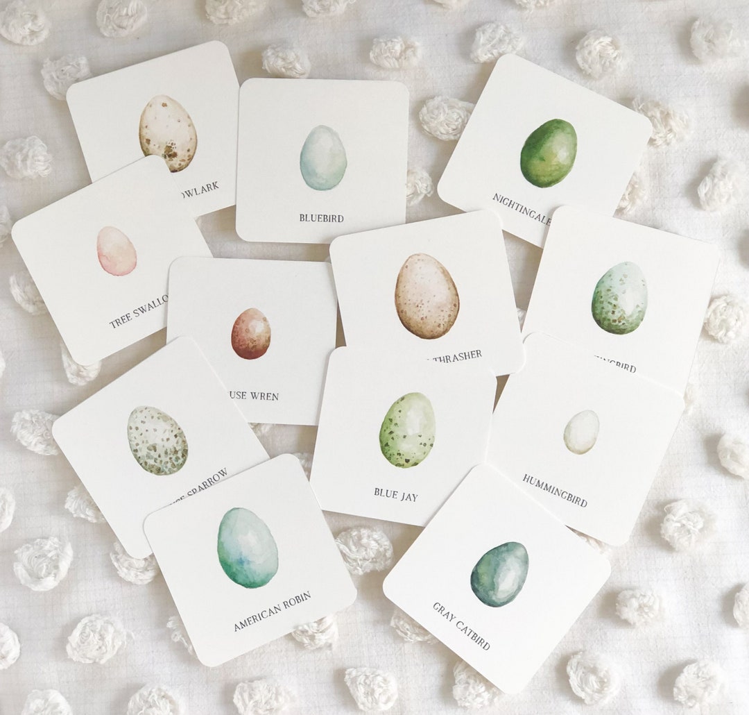 Printable Bird Egg Matching Cards | Homeschool Printable | Flash Cards ...