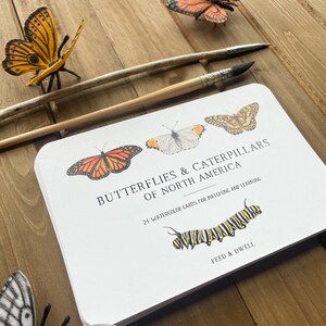 Butterfly and Caterpillar Learning Cards Montessori Insect - Etsy