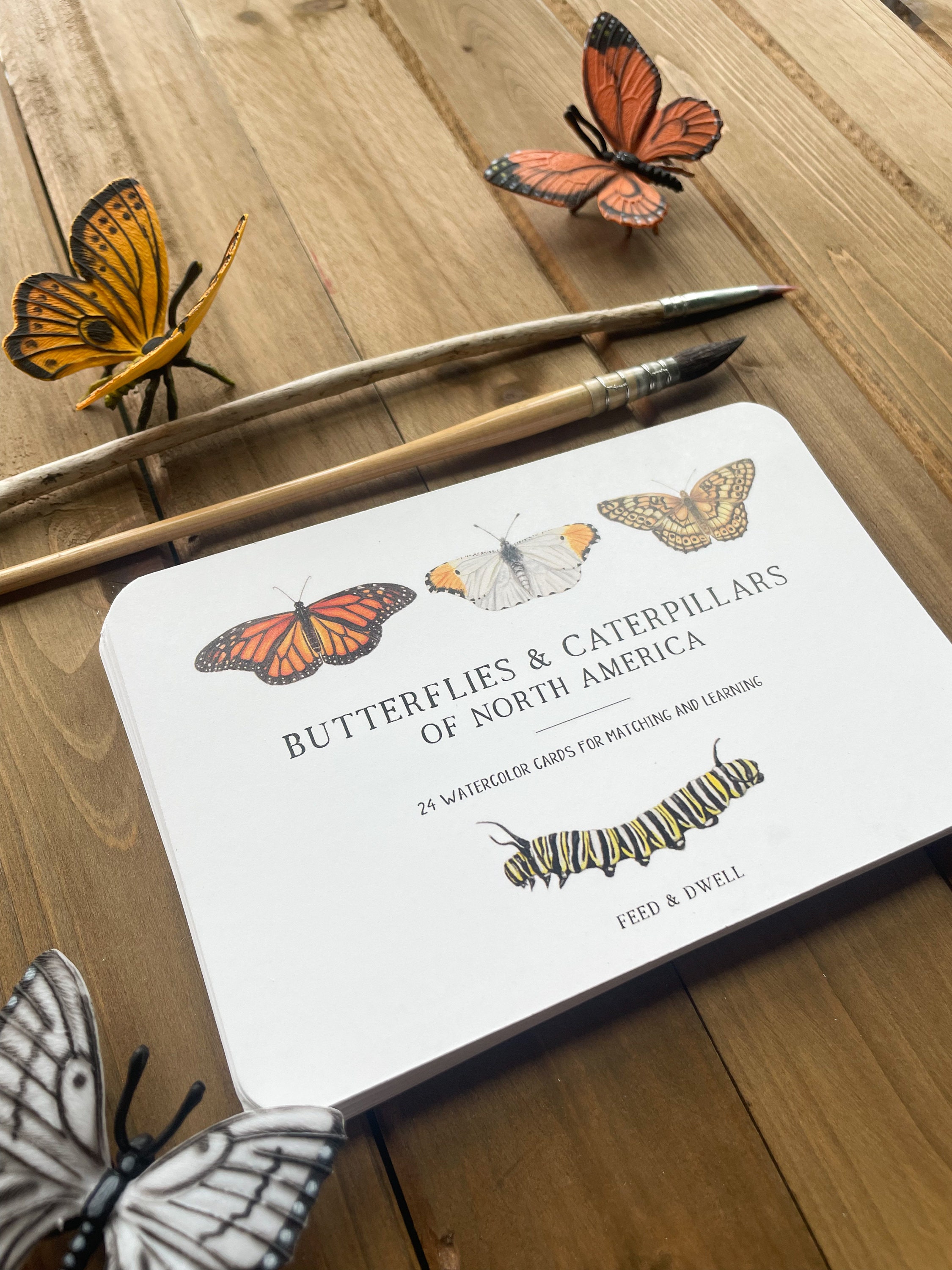 Butterfly and Caterpillar Learning Cards Montessori Insect - Etsy