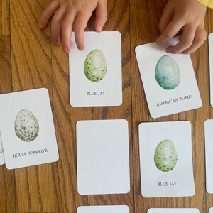 Bird Egg Matching Cards Nature Learning Cards Homeschool Nature Study ...