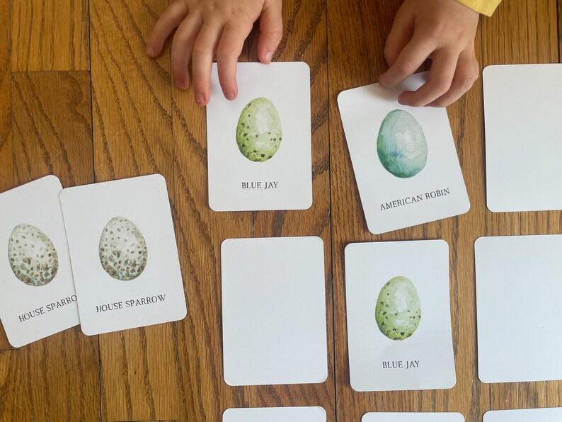 Bird Egg Matching Cards Nature Learning Cards Homeschool - Etsy